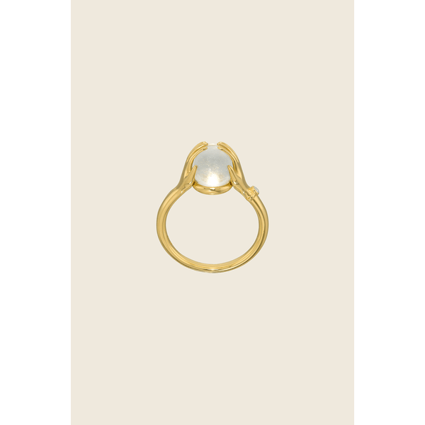 Anel Vision - gallerist